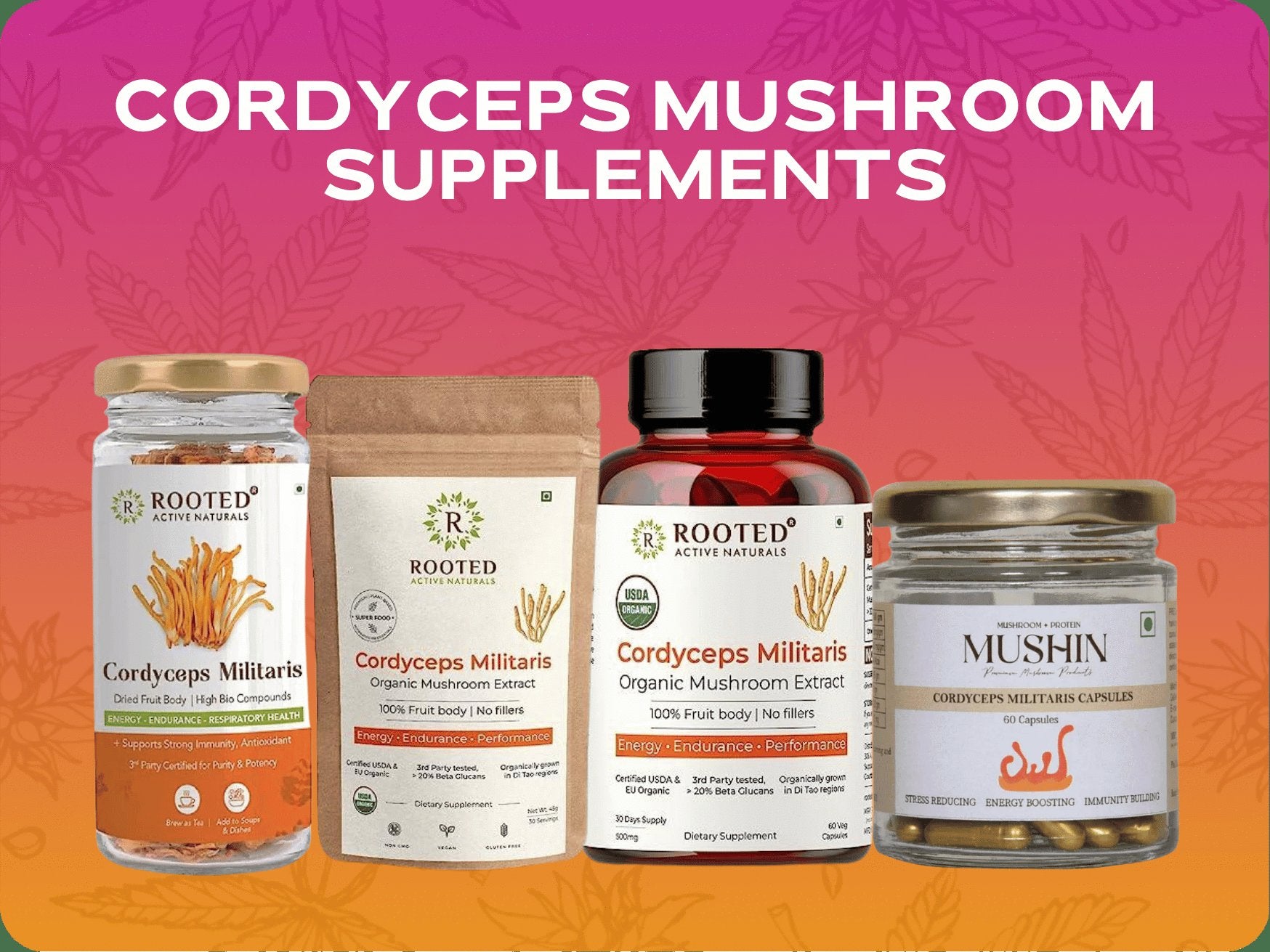 Cordyceps Mushroom Supplements - Benefits | Stamina, Immune, Energy ...