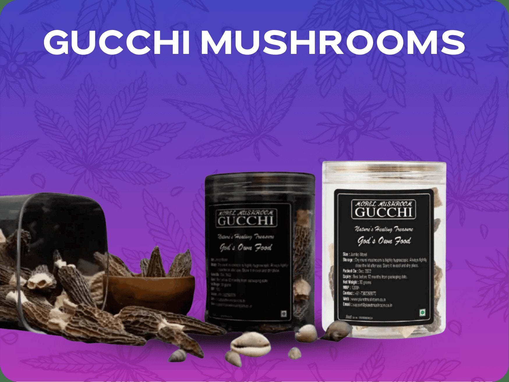Gucchi Mushrooms - Health Benefits | Antioxidants, Adaptogenic – CBD ...